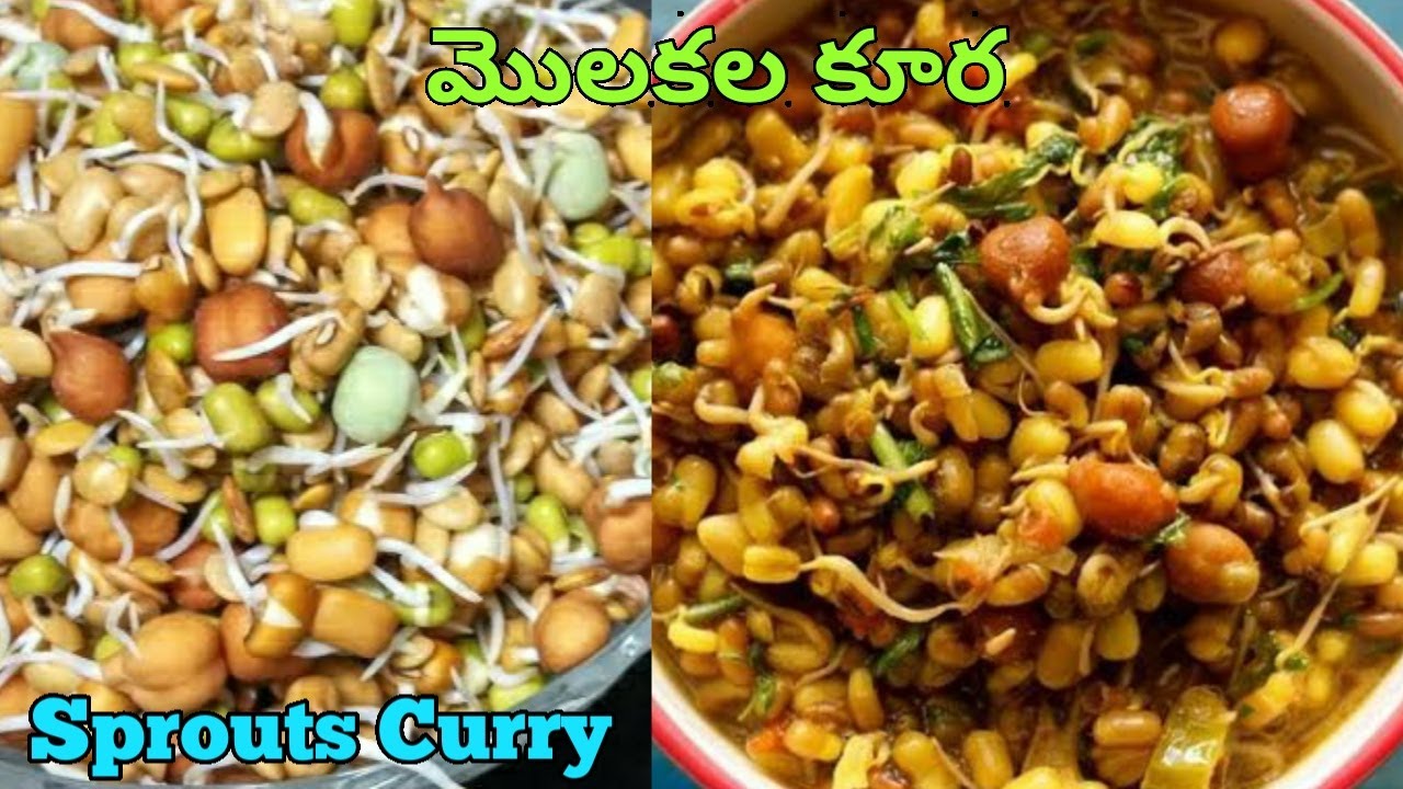 Sprouts Curry - ఈ కూర చపాతీలోకి తిని చూడండి మళ్ళీ మళ్ళీ కావాలంటారు-How ...