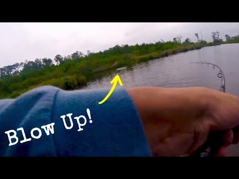 Using The Wind To Find Redfish On The Neuse River - YouTube