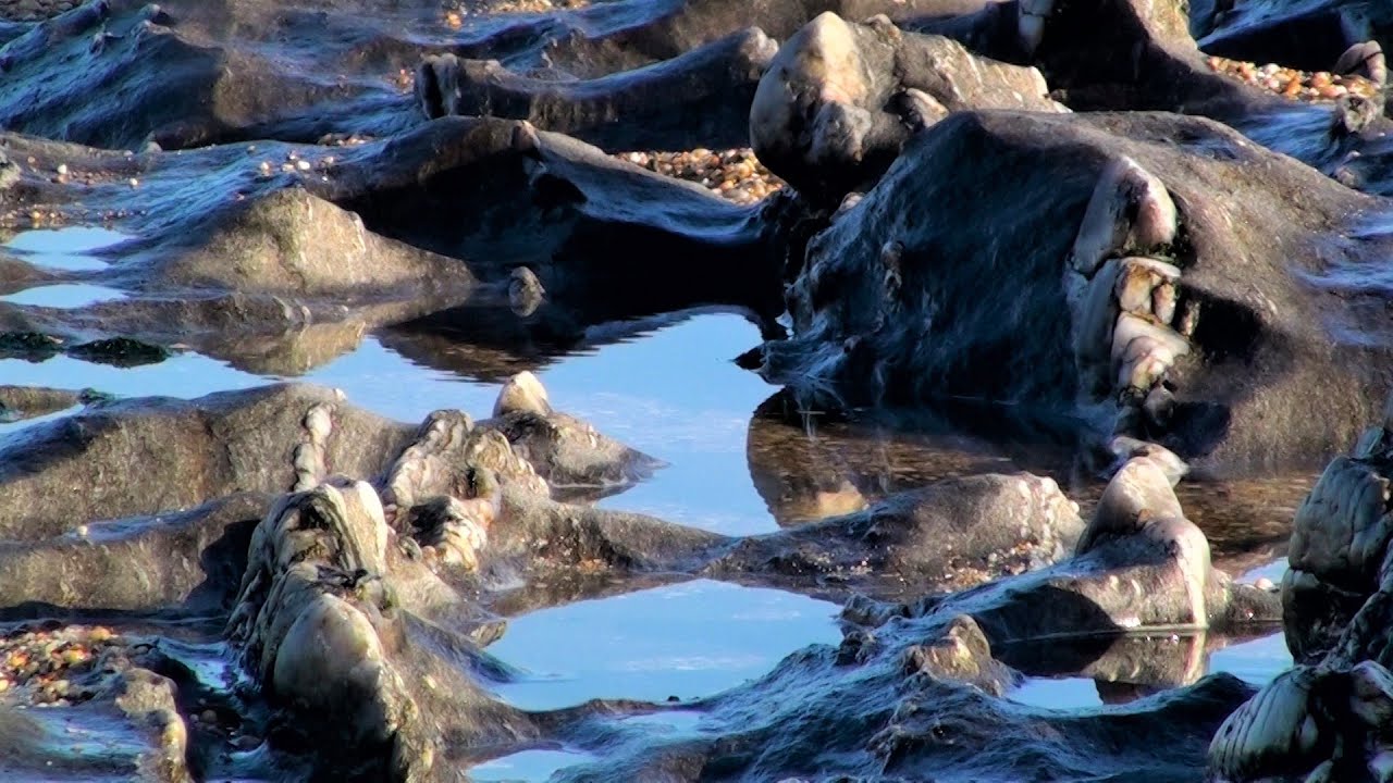 Relax - Big rock with small pools of water on the beach - YouTube