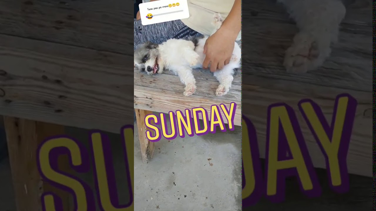 Sunday be like 😁 - YouTube