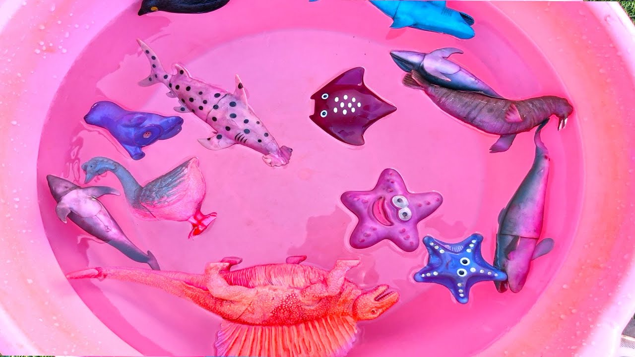 Learn Sea Animal Names Educational | Sea Animal Toys for Kids with Fun ...
