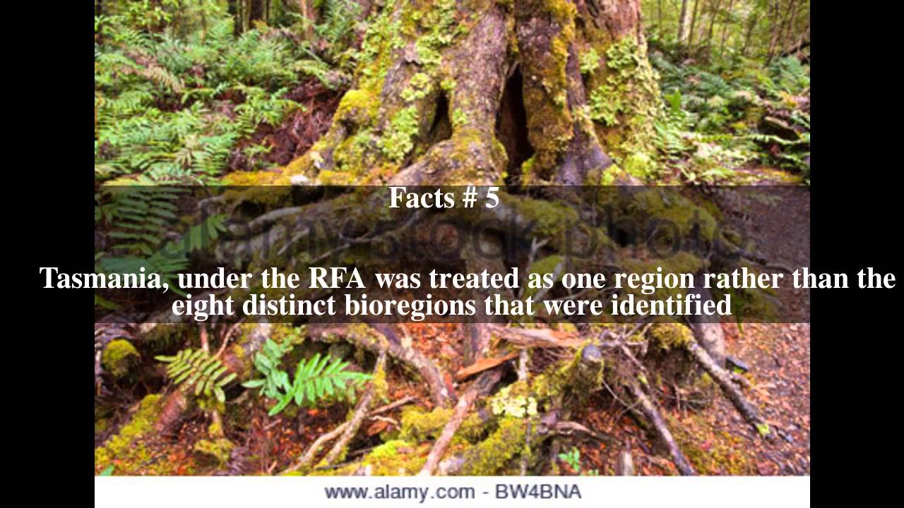 Mount Victoria Forest Reserve Top # 7 Facts - YouTube