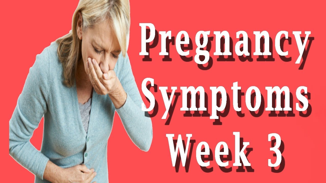 Pregnancy Symptoms Week 3 | Pregnancy Week by Week - YouTube