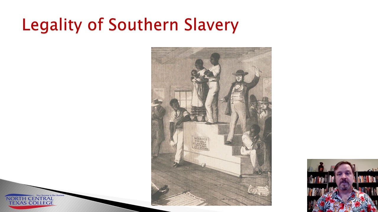 Race and Slavery Part 4 Economics of Slavery - YouTube