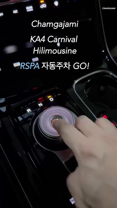 참가자미 KA4 카니발 하이리무진 RSPA 원격스마트 주차 보조로 마트에 주차하기 - YouTube