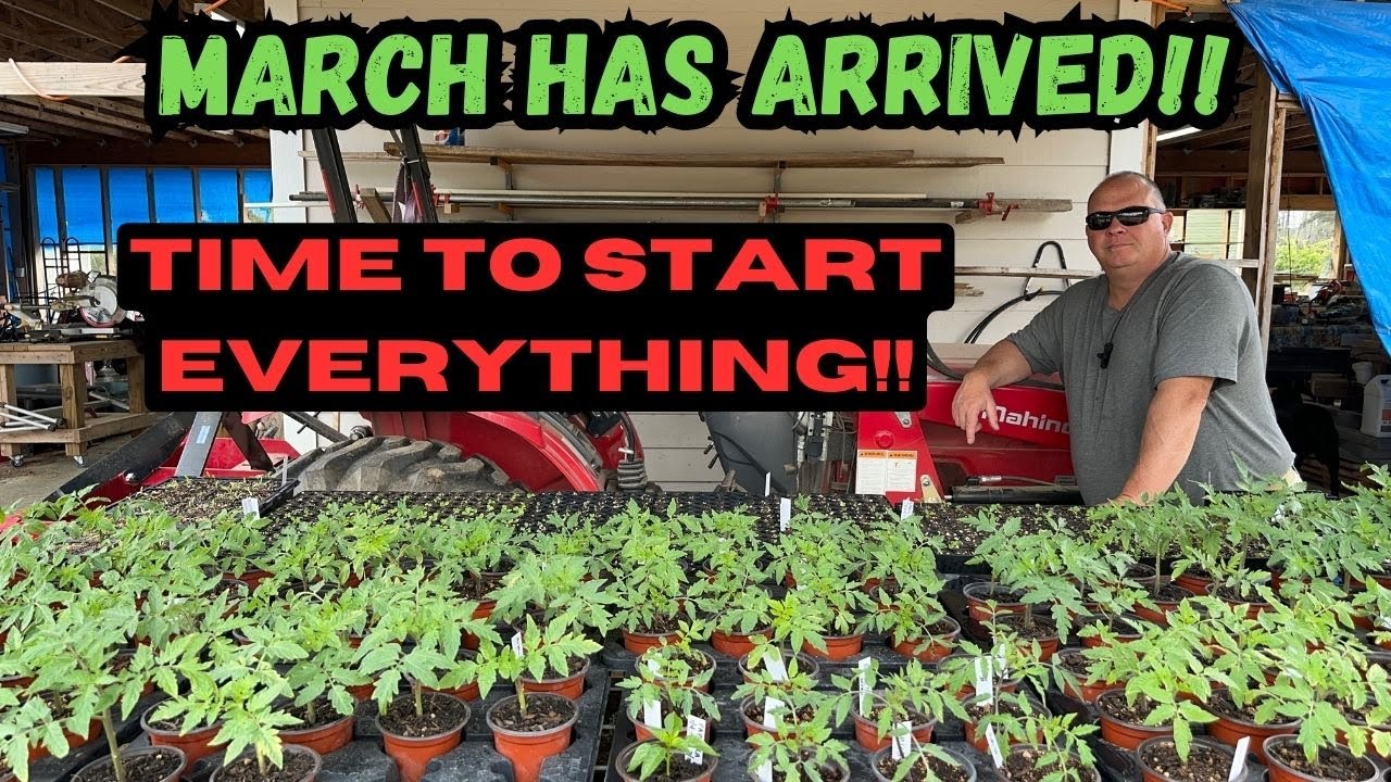 March Has Arrived! Time To START EVERYTHING In The Garden! #garden # ...