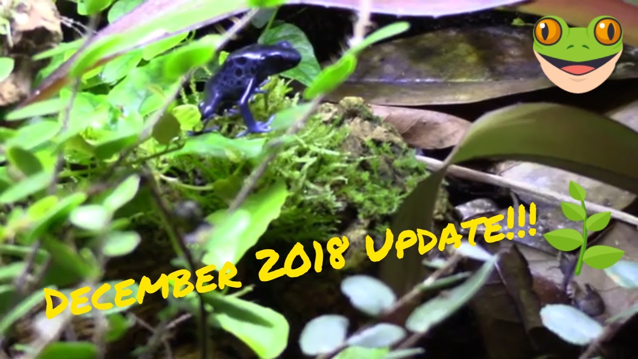 December update!! - YouTube