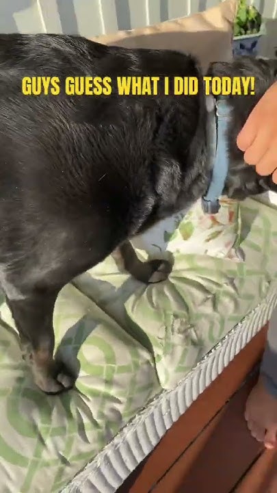 Guess what I did - YouTube