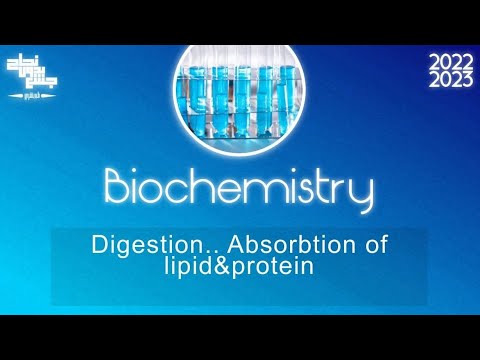 Tut 2 part 1, Function of GIT in digestion and absorption, biochemistry ...