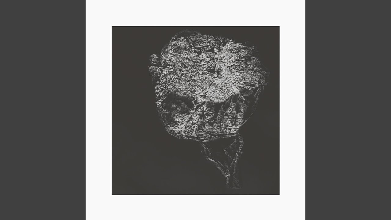 Invertebrate Drawings - YouTube