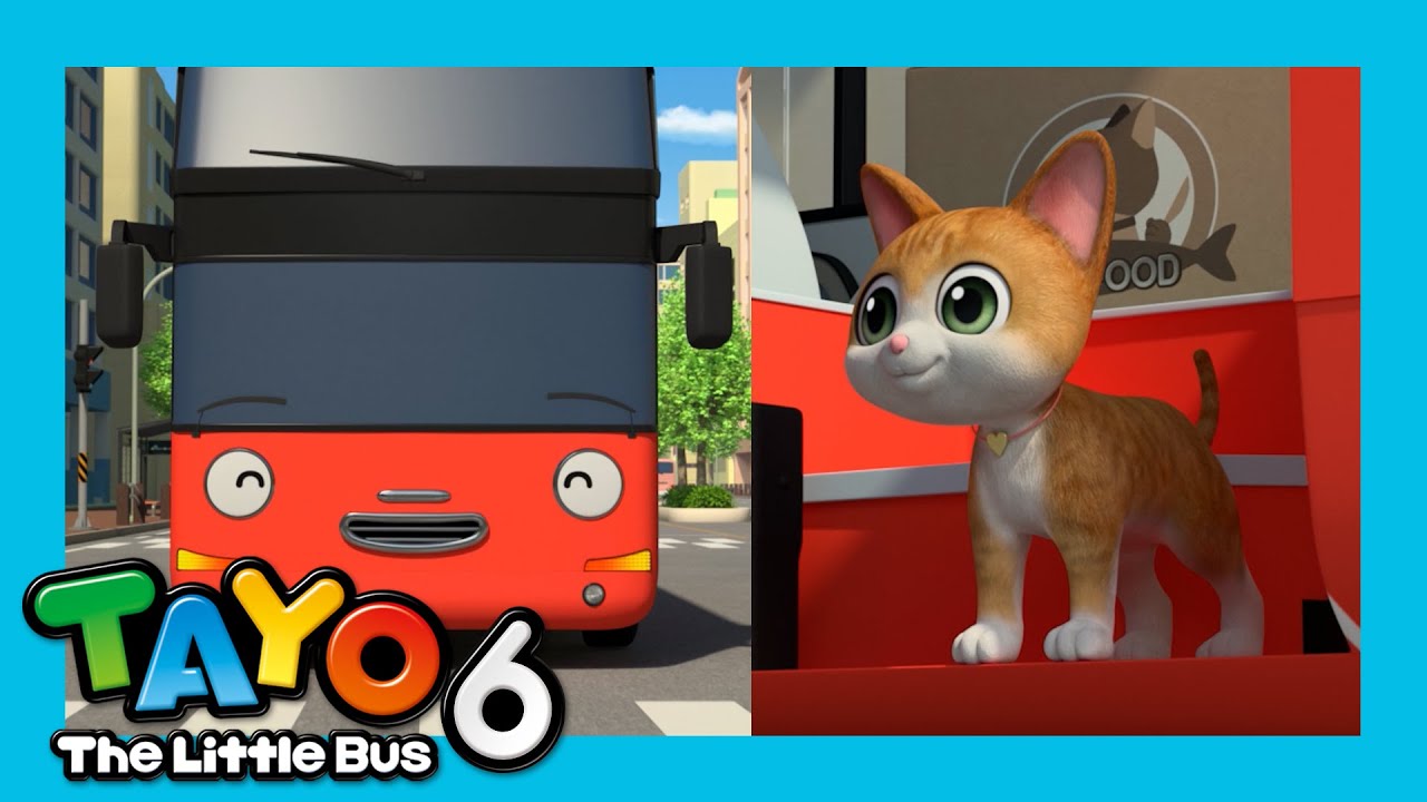 Please Take Care of the Cat | Tayo S6 Short Episode | Kids Cartoon ...