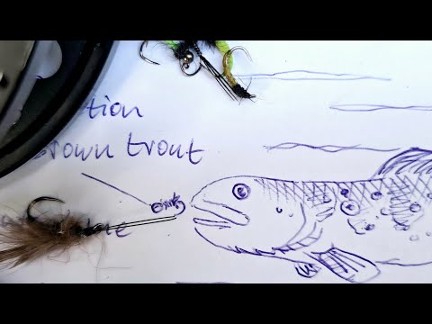 Wild Brown Trout and Grayling Fishing in Transylvania (Spotting an Ultra Rare Species)