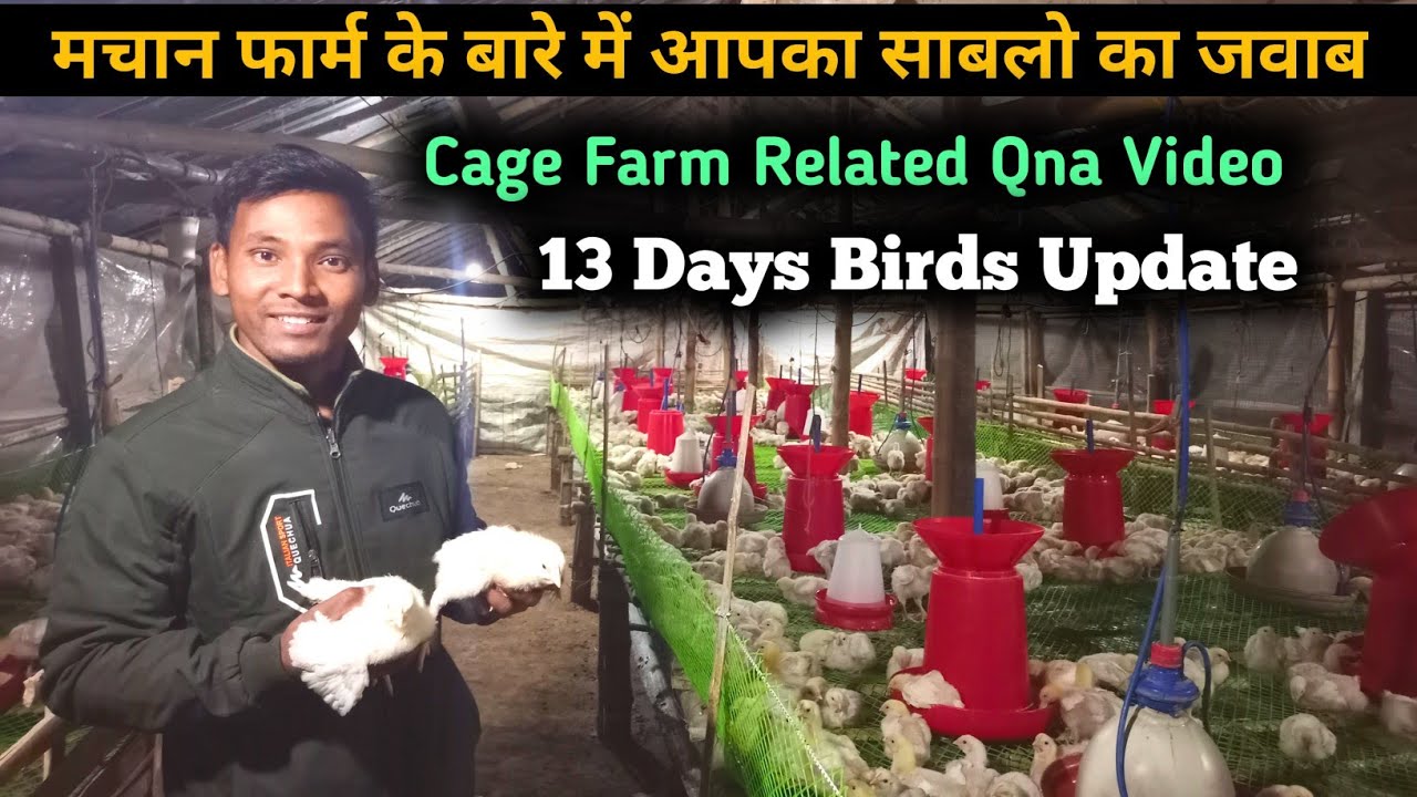 Machan Farm Se Rileted Aap Sabhika Sabal || QNA Video - YouTube