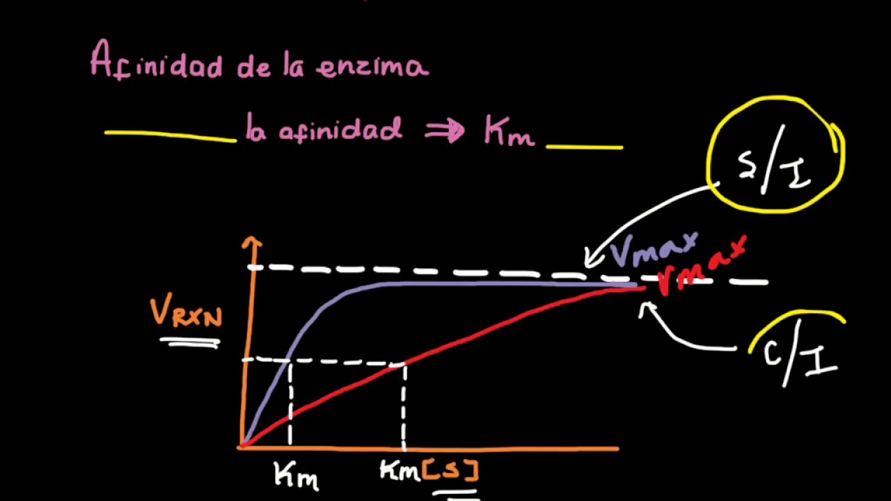 Inhibición enzimática (Segunda Parte). Inhibición competitiva. - YouTube