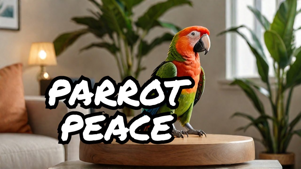 Calm Your Parrot with Soothing Home Music - YouTube