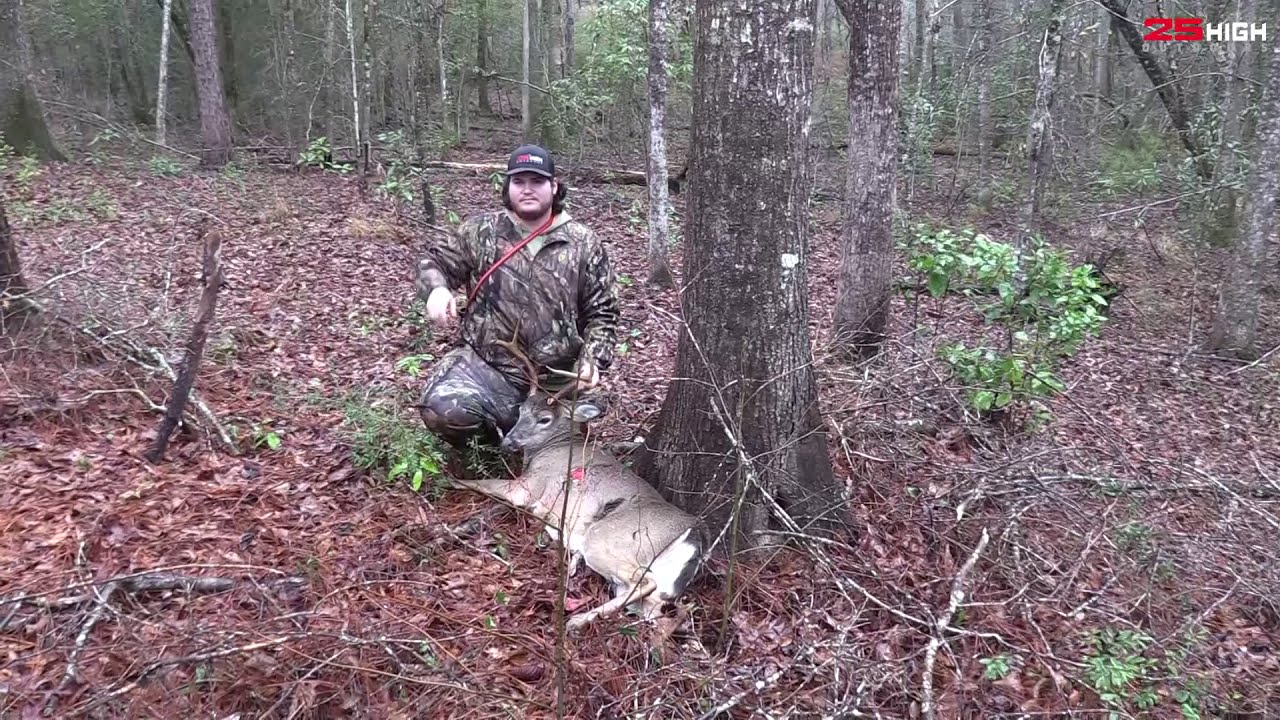 Bucks on the Move in South ALABAMA! (BUCK DOWN!?!?!?) - YouTube