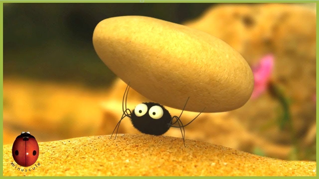 The Misadventures of a Very Hungry Spider Minuscule And Friends 🍃 20 ...