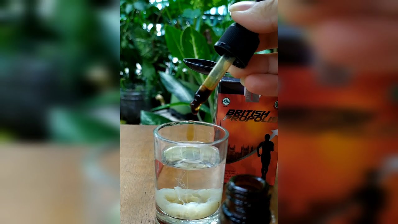 Apa itu British Propolis? Apa Saja Manfaatnya? dan Bagaimana Cara ...