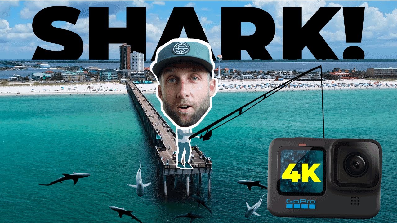 Dropped GoPro under shark infested pier! - YouTube