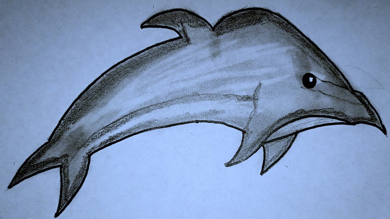 How to Draw Dolphin on the Paper Step By Step || Zee Art 162 - YouTube