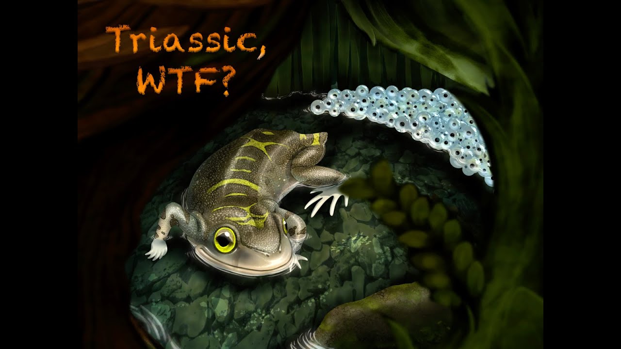 Triadobatrachus – The First Frog | Triassic, WTF? - YouTube