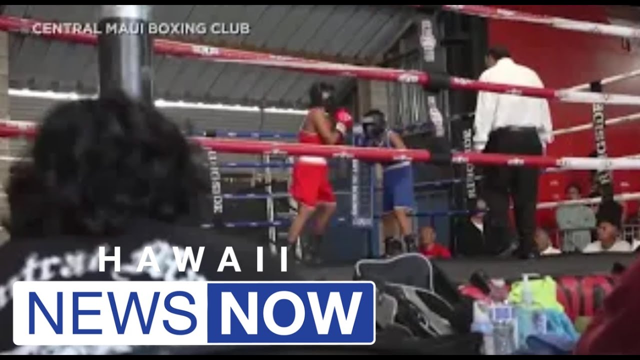 Maui boxing club shares frustrations after being shut out from using ...