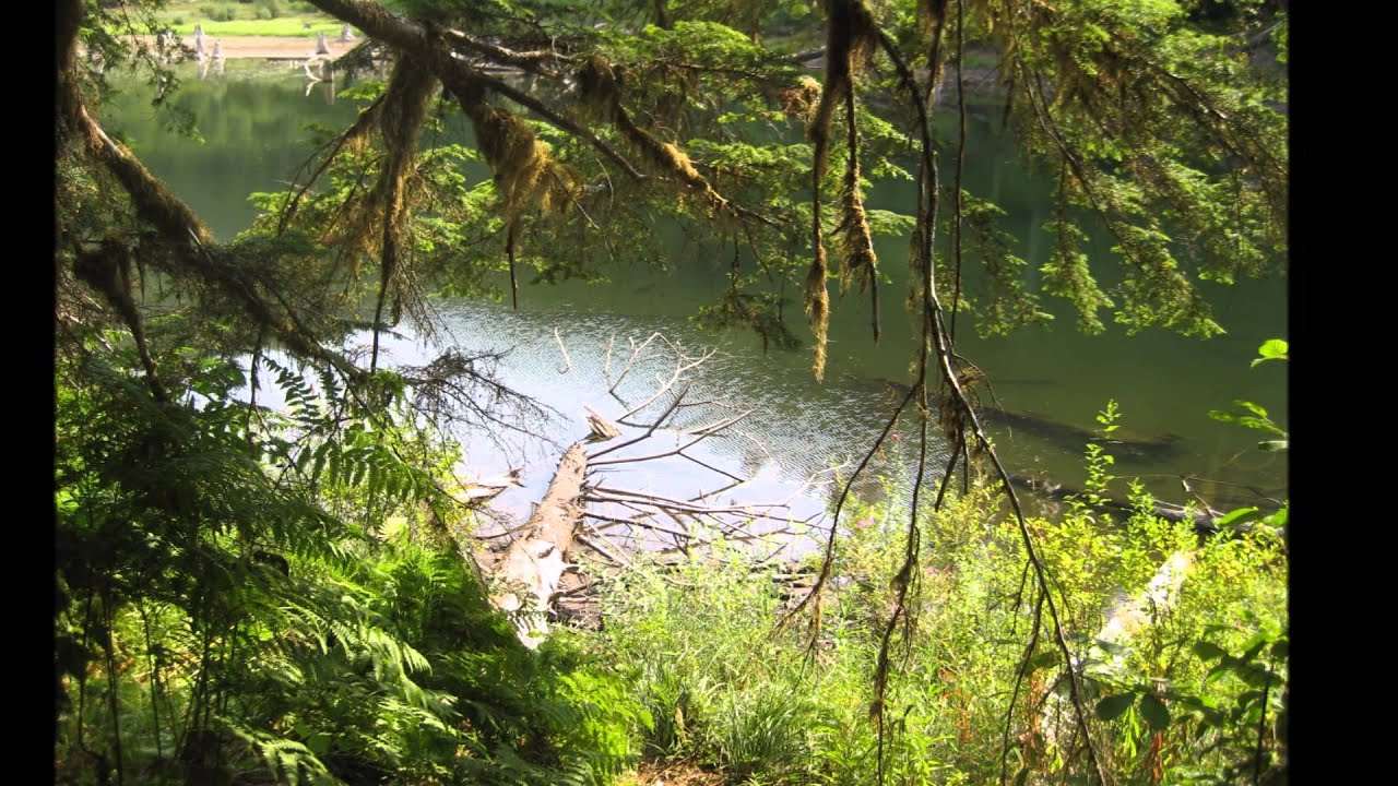 Spider Lake Hike - YouTube