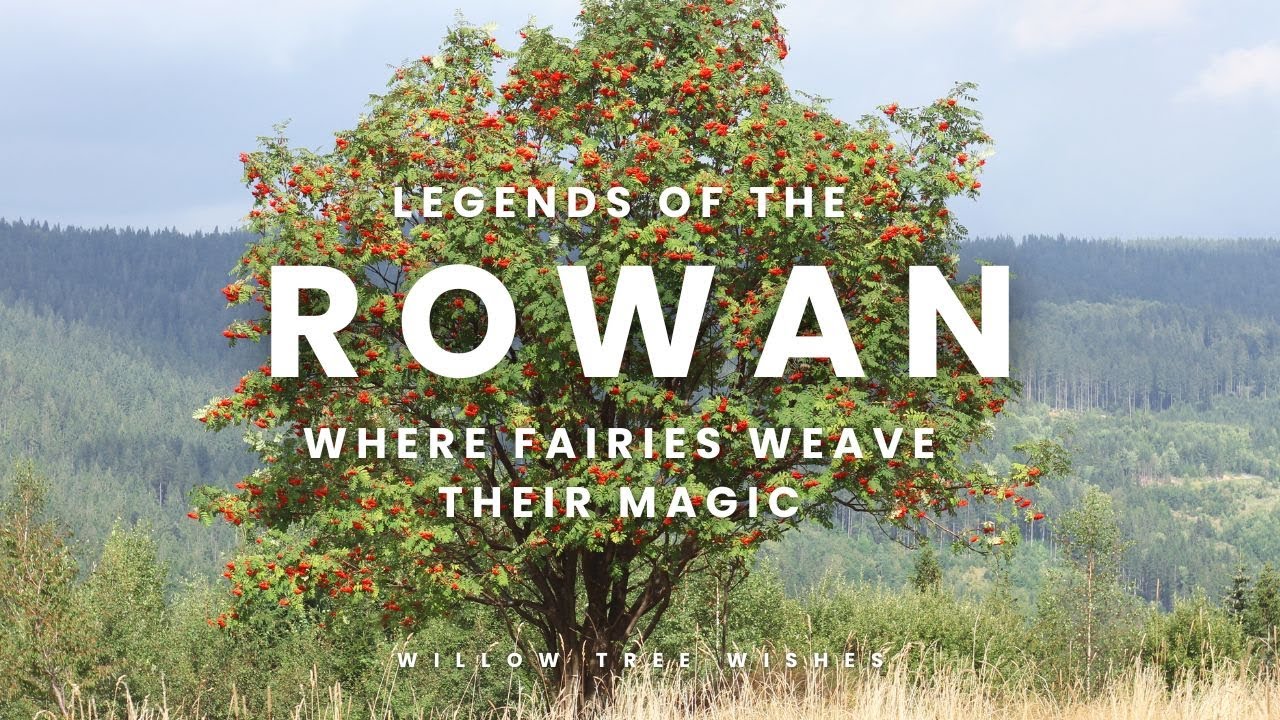 Legends of the ROWAN tree : Where fairies weave their magic - YouTube