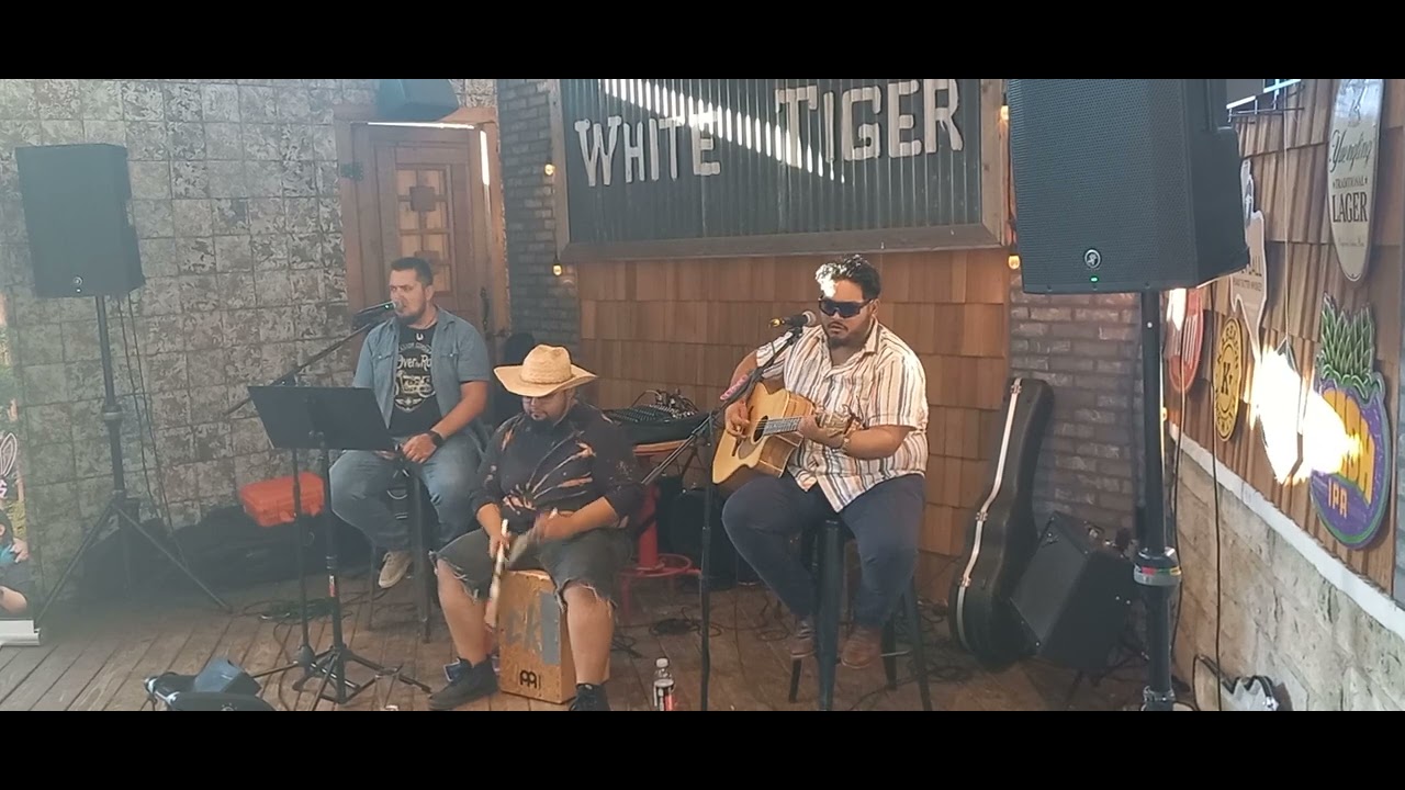 Graça Leal música - Chasing Rabbits Band - #texas #whitetiger #musica # ...