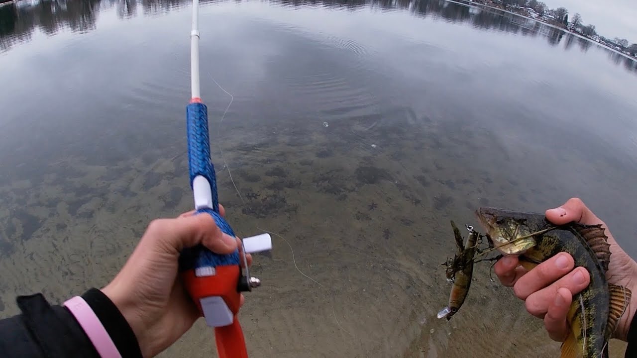 PAW PATROL ROD CATCHES MONSTER PERCH!!! - YouTube