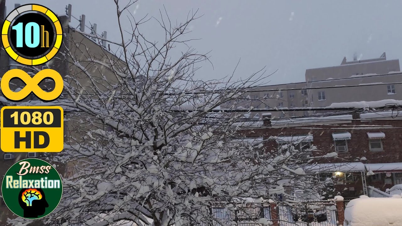 Early morning snow storm | Natural snow falling with wind | FHD -10h ...