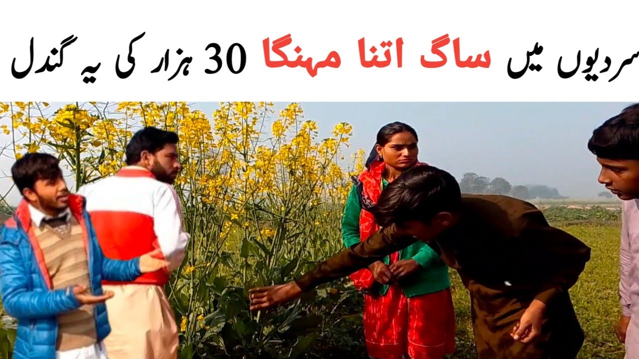Ik minutes 30k | Mohsin,ramzi,Nadia,mafia,husnain@rachnavitv523 ...
