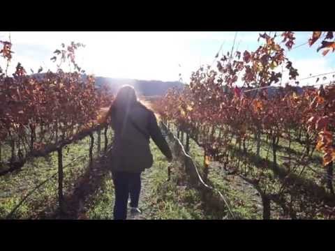 OTWOL takbo @ NAPA VALLEY