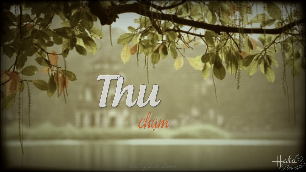 Những Bài Hát Hay Nhất Về Mùa Thu - Thu Collection | Hala Flower - YouTube