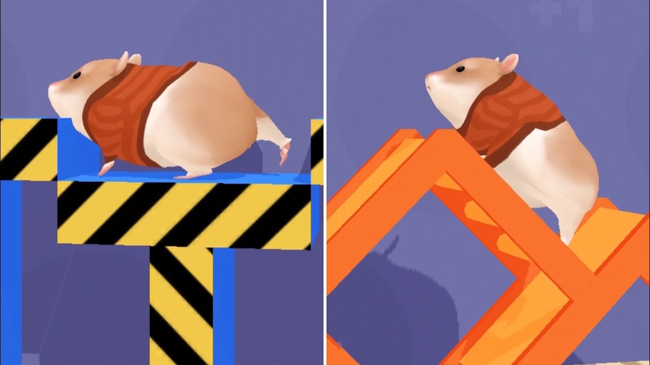 Hamster Parkour Kids Game | Hamster Maze #part6 - YouTube