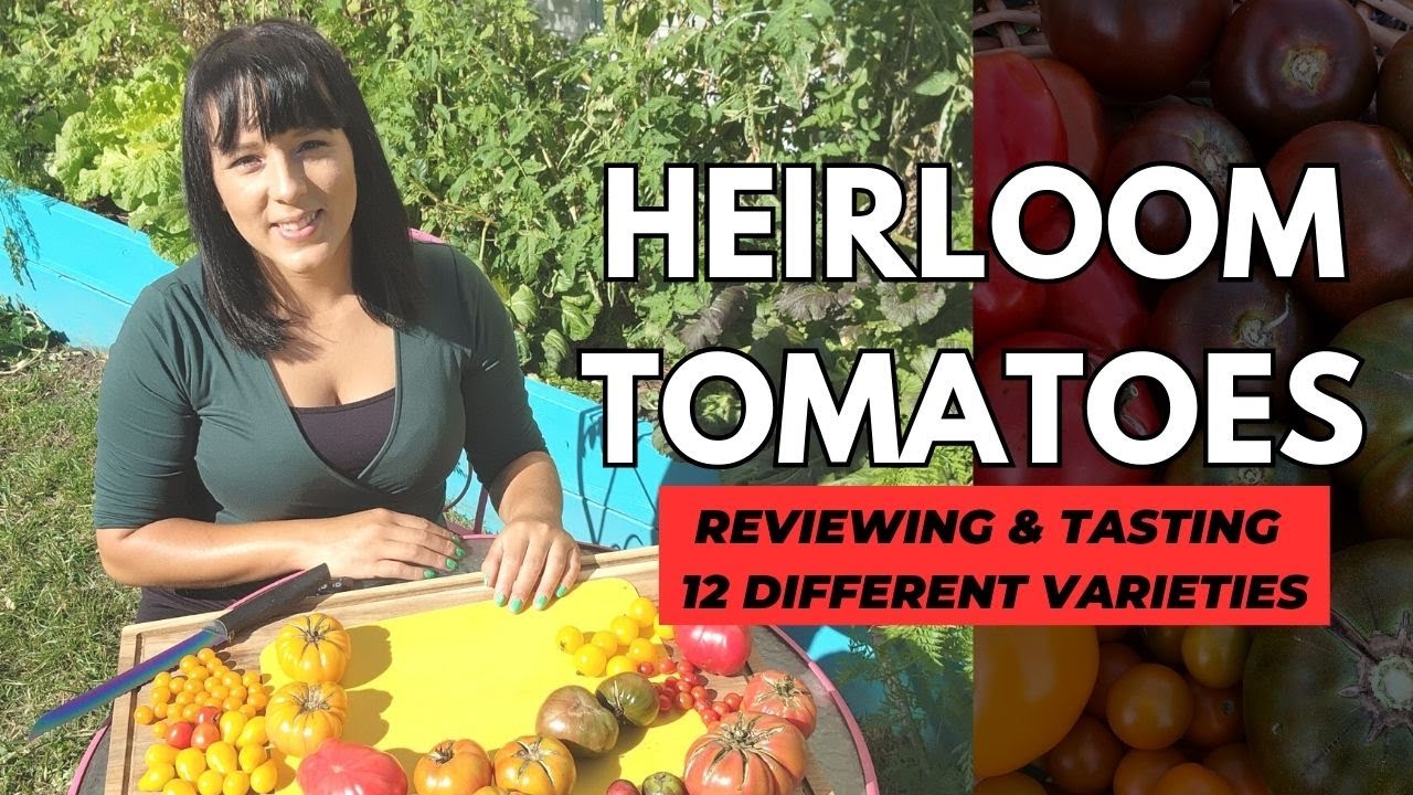 Heirloom Tomatoes: Taste Testing 12 Different Varieties #garden #tomato ...