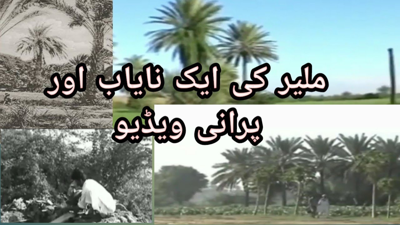 An old and rare video of Malir۔ Green Malir Karachi Pakistan ♥️, ملیر ...