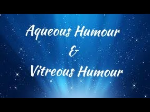 Aqueous Humour & Vitreous Humour | Functions of Aqueous & Vitreous ...