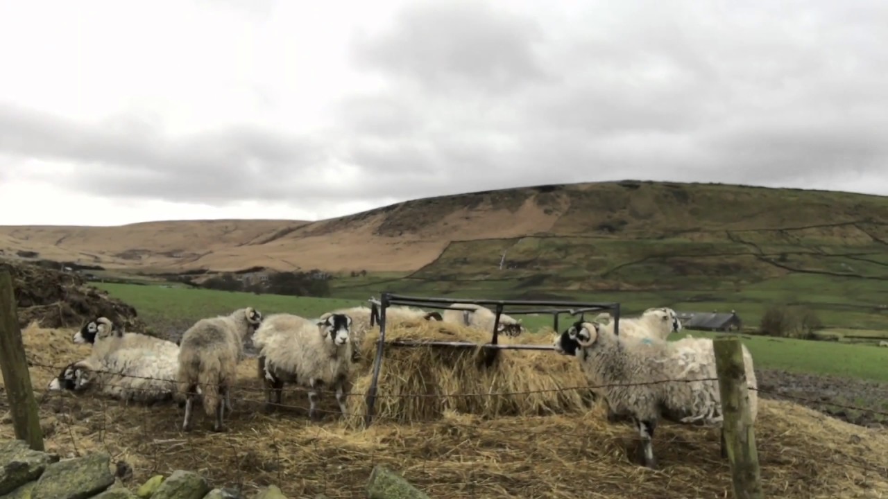 Standedge Trail Heritage Walk Marsden - YouTube