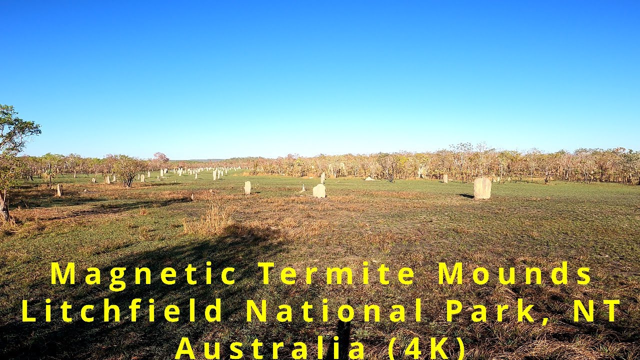 Magnetic Termite Mounds, Litchfield National Park, NT, Australia - YouTube