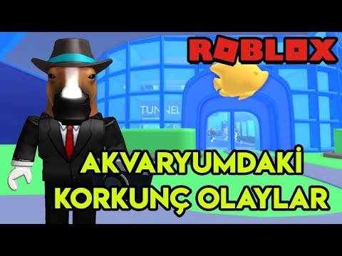 🦈 Akvaryumda Başımıza Gelen Korkunç Olaylar 🦈 | Aquarium | Roblox Türkçe