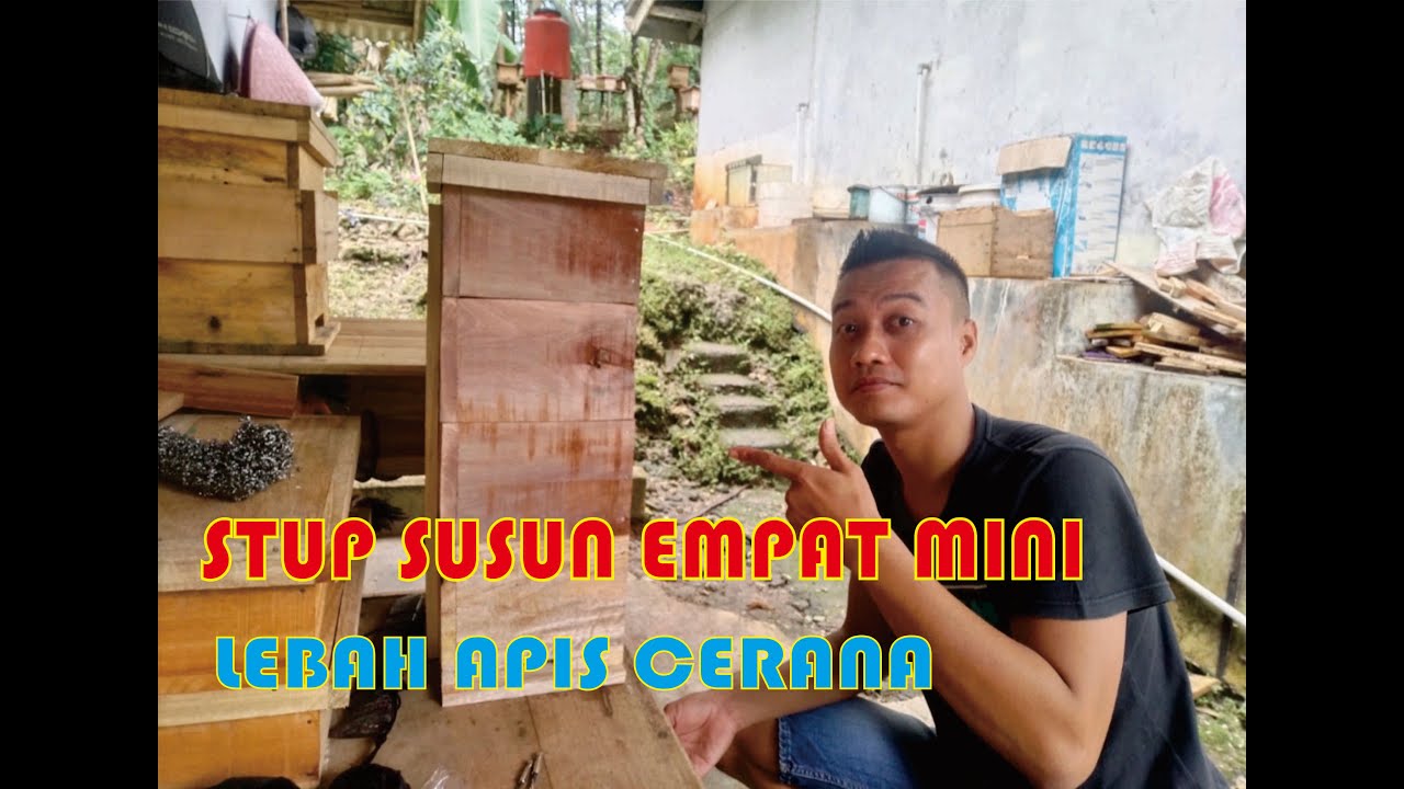 Pembuatan Stup Susun Empat Mini Ukuran 20x20x60cm Lebah Apis Cerana ...