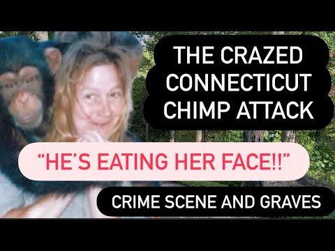 THE HORRIFYING CASE OF TRAVIS THE CHIMP - Brutal Attack & The Face ...