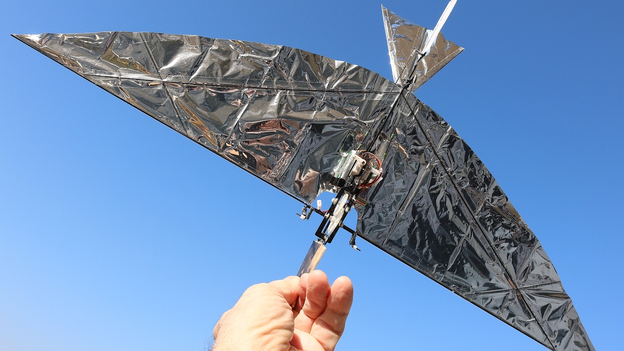 Golden Eagle test 3 - YouTube