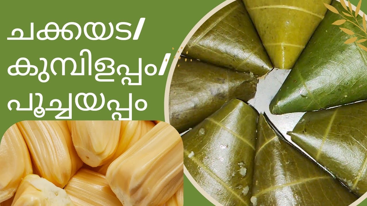 ചക്കയട/ കുമ്പിളപ്പം/പൂച്ചയപ്പം #viral #trending #food #yt # ...