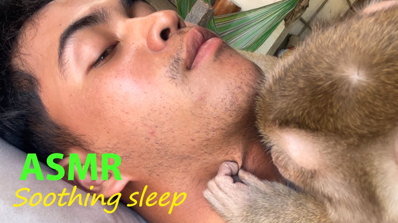 Zueii Baby Monkey Grooming Remove Acne Ritual | Calming ASMR - YouTube