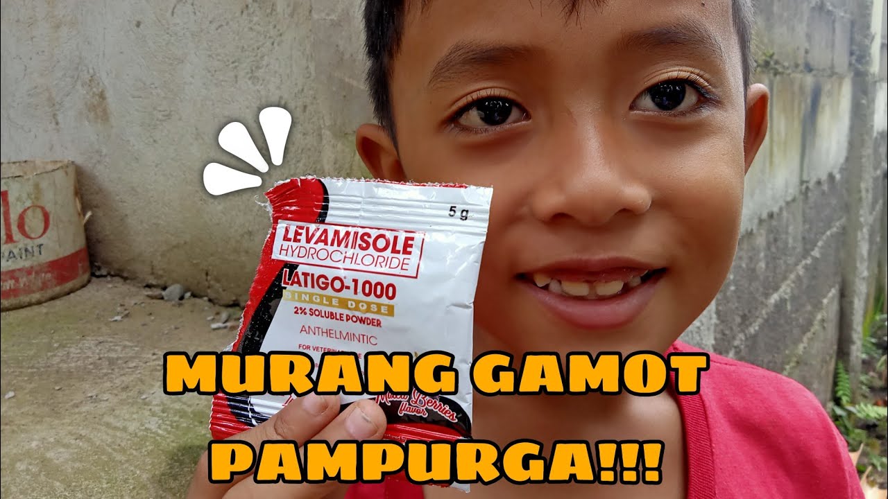 MURANG PAMPURGA NG KALAPATI!!😲 - YouTube