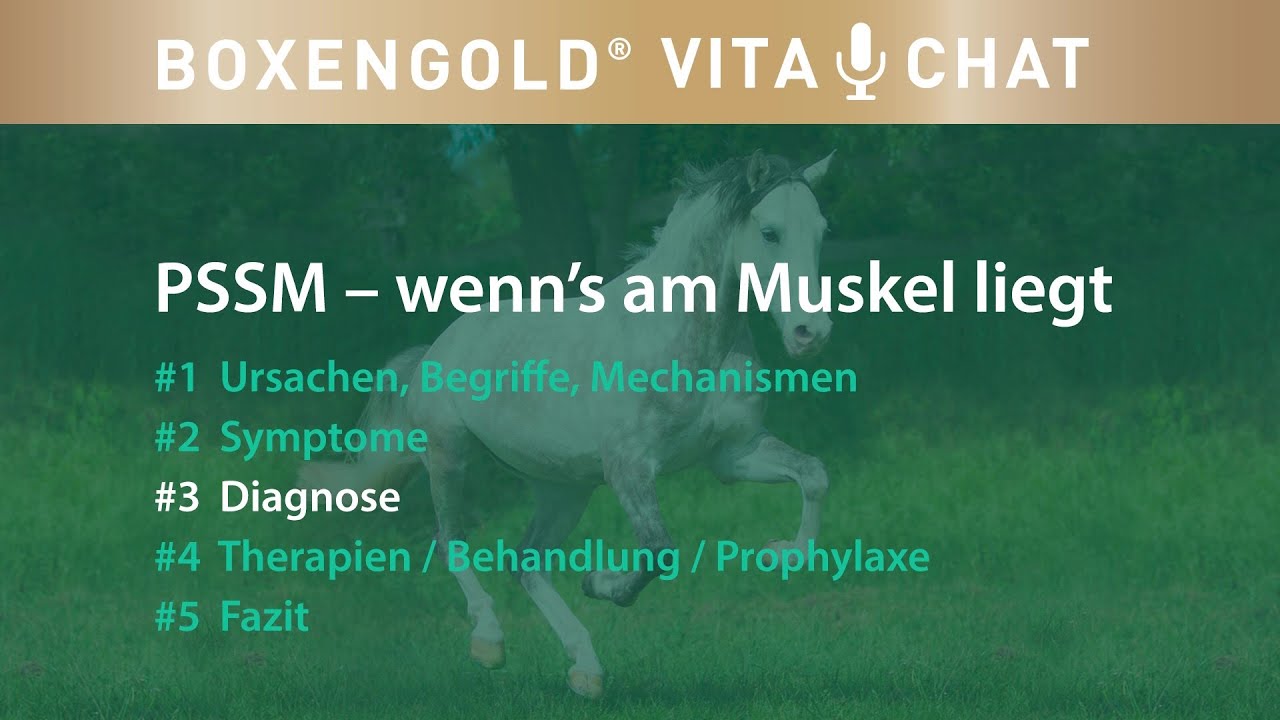 Tests für PSSM 2 und PSSM 1? Wie Sie PSSM beim Pferd diagnostizieren ...