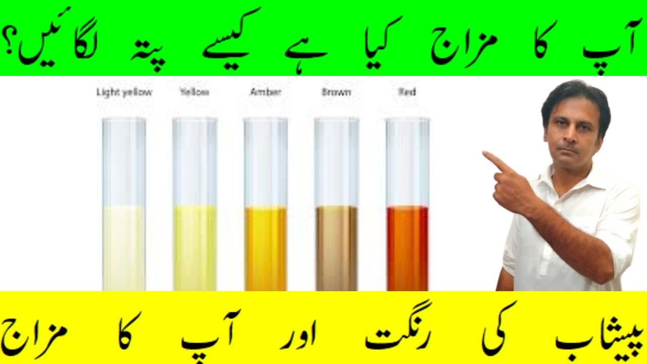 Peshab Ki Rangat Aur App Ka Mizaaj | Mizaj Ki Pehchan Kaise Kare ...