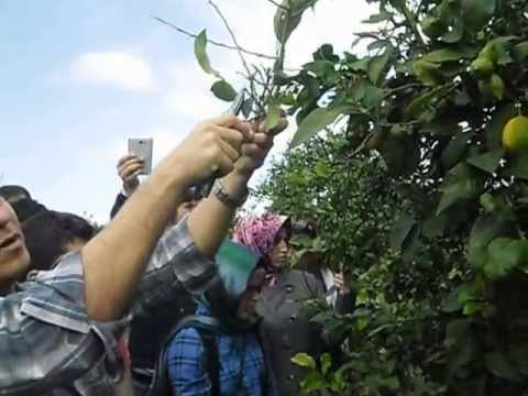 MKÜ'DEN UÇ KURUTAN www enverakkurt com